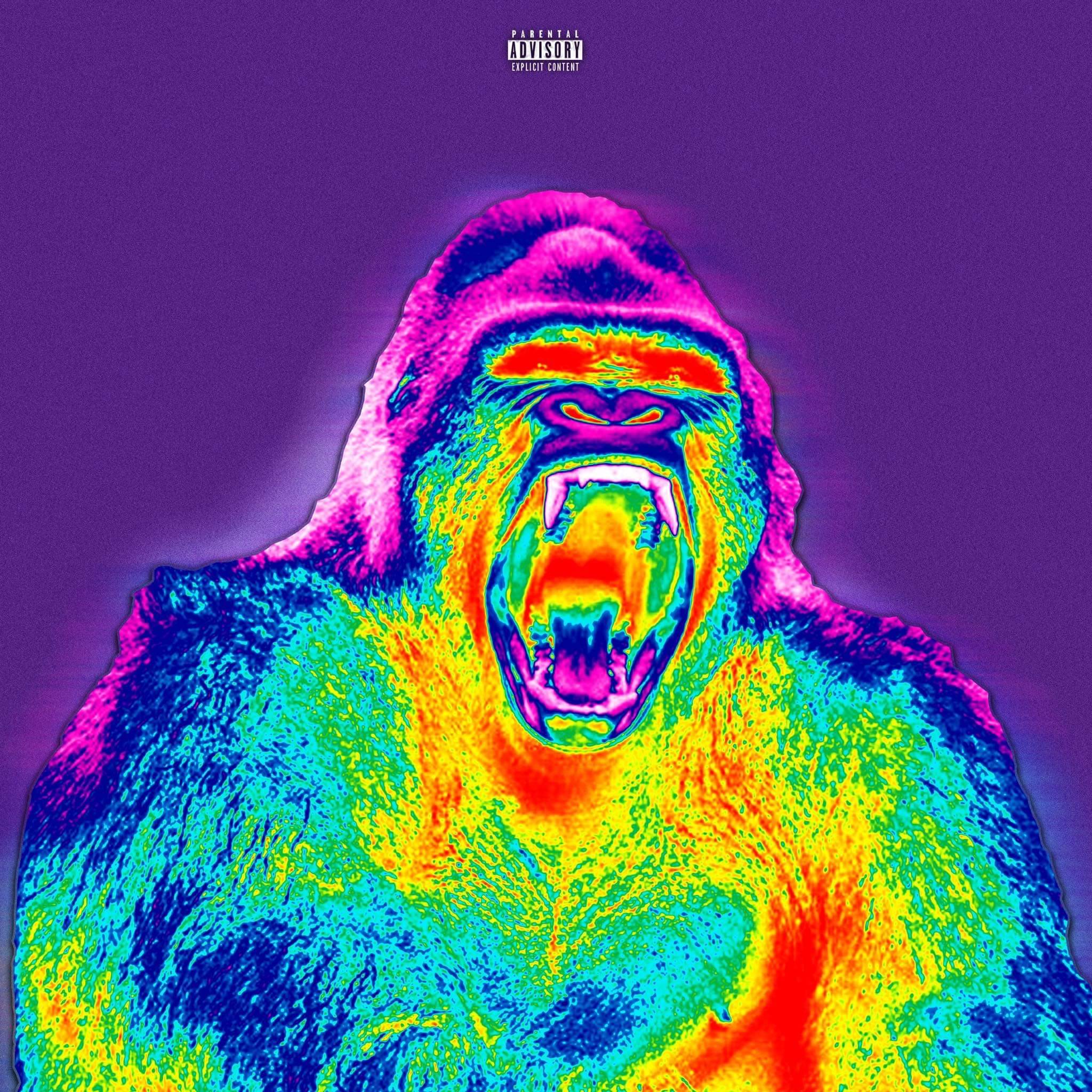 Hip-Hop/Review KEL – RAIN - SONGSCOPE